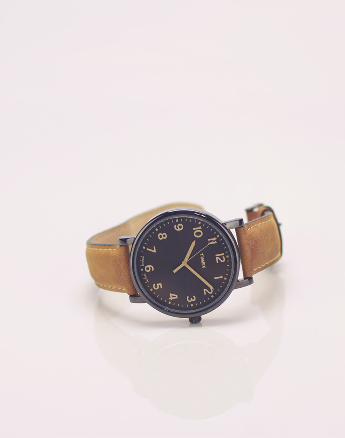 Gallery Image 05 | PMTA Setup